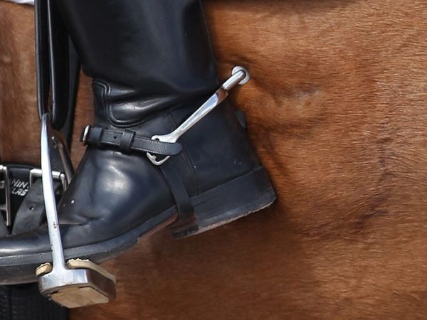 Ar trebui să utilizați pinteni, atunci când călăriți? | BateSaua